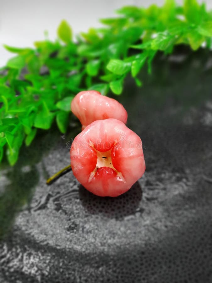 Jambu O Fruta De Manzana De Agua Llena De Agua Imagen de archivo ...