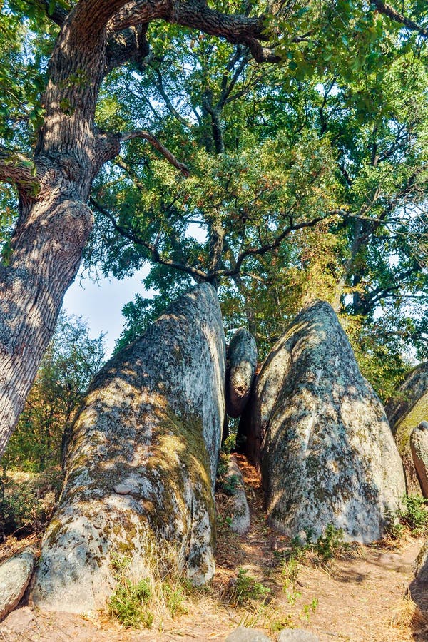 The jammed stock photo. Image of jammed, sanctuary, restrained - 51114396