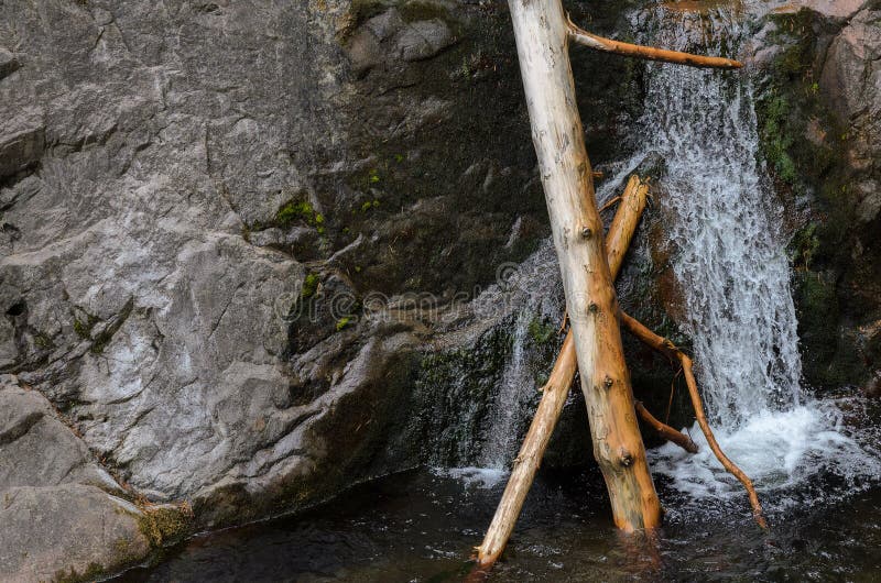 Jammed Tree Logs into Small Mountain River Stock Image - Image of ...