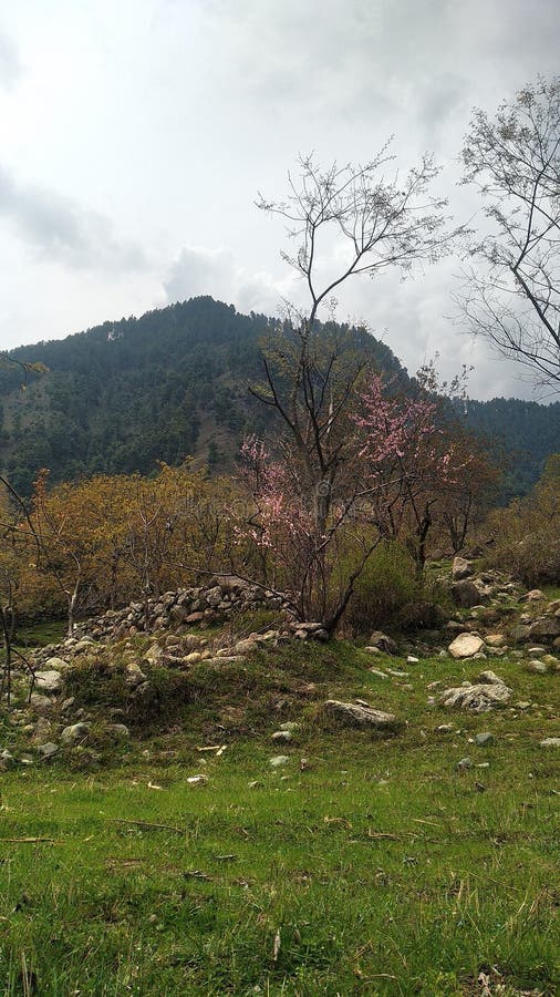 Jamsheed Park in Idia Kashmir Stock Photo - Image of famous, park ...