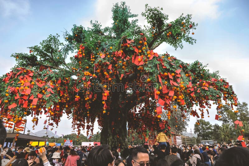 23 Jan 2023 the Lam Tsuen Wishing Trees, Tai Po, HK Editorial Stock ... 23 Jan 2023 the Lam Tsuen Wishing Trees, Tai Po, HK Editorial Stock ...
