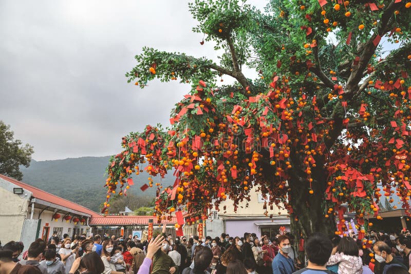 23 Jan 2023 the Lam Tsuen Wishing Trees, Tai Po, HK Editorial Image ... 23 Jan 2023 the Lam Tsuen Wishing Trees, Tai Po, HK Editorial Image ...