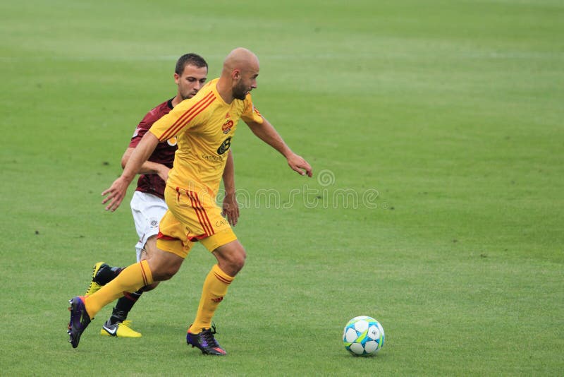 Vorel Stock Photos - Free & Royalty-Free Stock Photos from Dreamstime