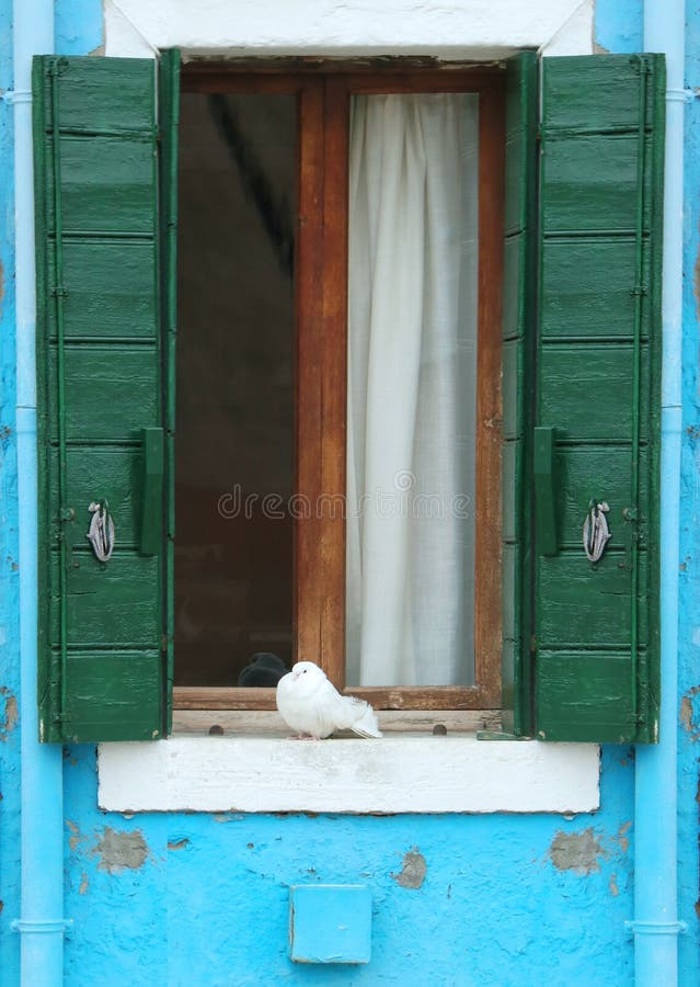 Janela aberta retro foto de stock. Imagem de pombo, colheita - 91906922