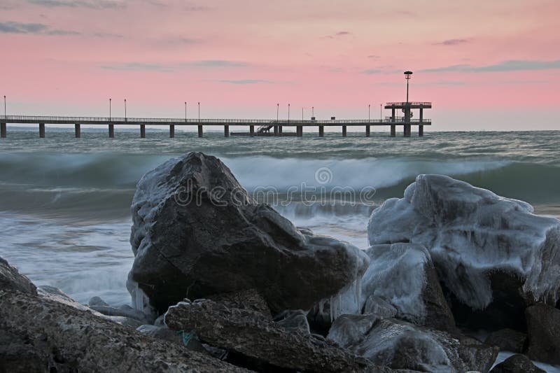 January Morning in the City Park Stock Image - Image of forest, rural ...