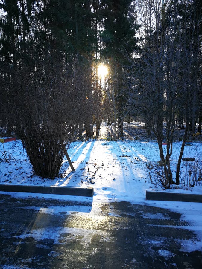 January morning stock photo. Image of russia, snowed - 107373220