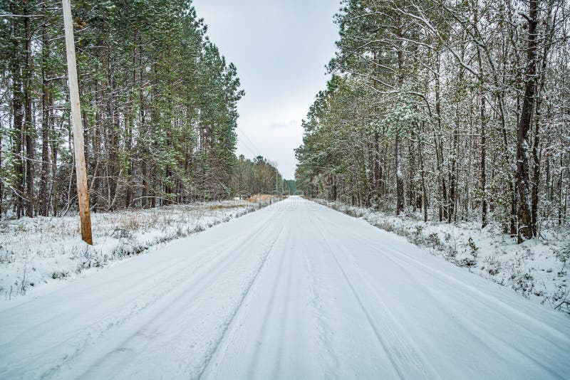 January Snow Day stock photo. Image of cold, tree, snowfall - 200325034