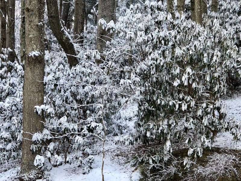 Winter Wonder stock photo. Image of wonder, snow, fall - 137963242