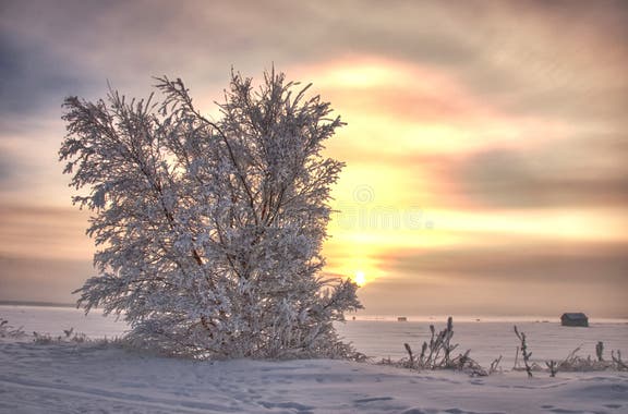 1,070,951 January Stock Photos - Free & Royalty-Free Stock Photos from ...