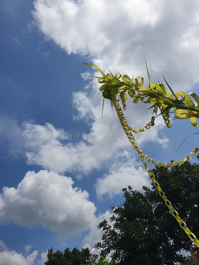 Janur Kuning As Traditional Wedding Symbol of Javanese Stock Image ...