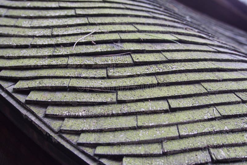 126 Japan Bark Roof Stock Photos - Free & Royalty-Free Stock Photos ...