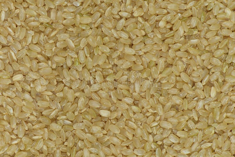 Japan Coarse Rice Background, Japan Brown Rice for Healthy Stock Photo ...