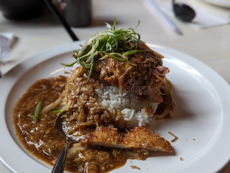 Japan Curry Chicken Over Rice Stock Photo - Image of rice, curr: 268678090