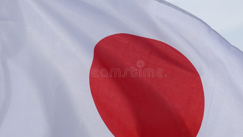 Japan Flag Video Waving in Wind. Japan Flag Wave Loop Waving in Wind ...
