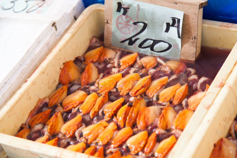 Japan Fresh Shell at Fresh Market Stock Image - Image of japanese ...