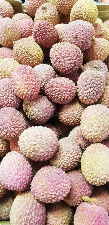 Japan fruit , lichi stock photo. Image of pretty, purple - 146222350