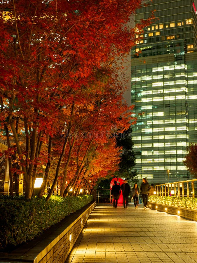 Japan Night View Illumination Tokyo Editorial Image - Image of building ...
