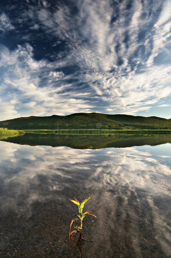 Japan Sea. Autumn. 11 stock image. Image of shine, leaf - 7201647