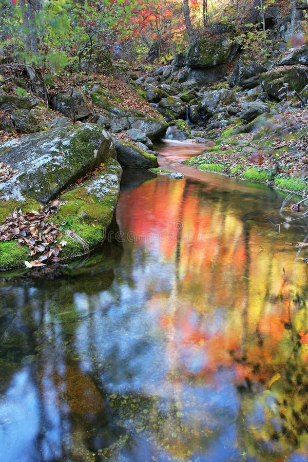 Japan Sea. Autumn. 9 stock photo. Image of shine, rain - 7201546