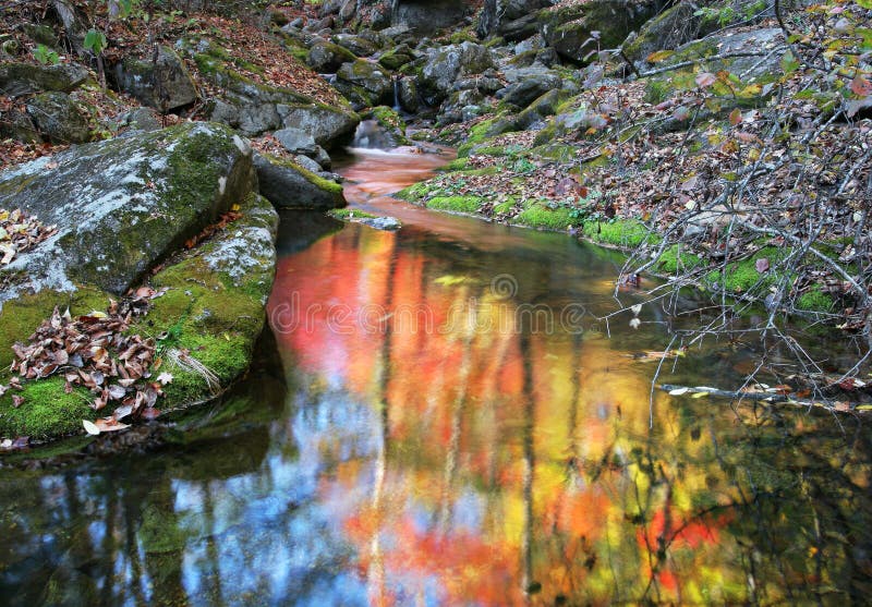 Japan Sea. Autumn. 9 stock photo. Image of forest, recreation - 7201612