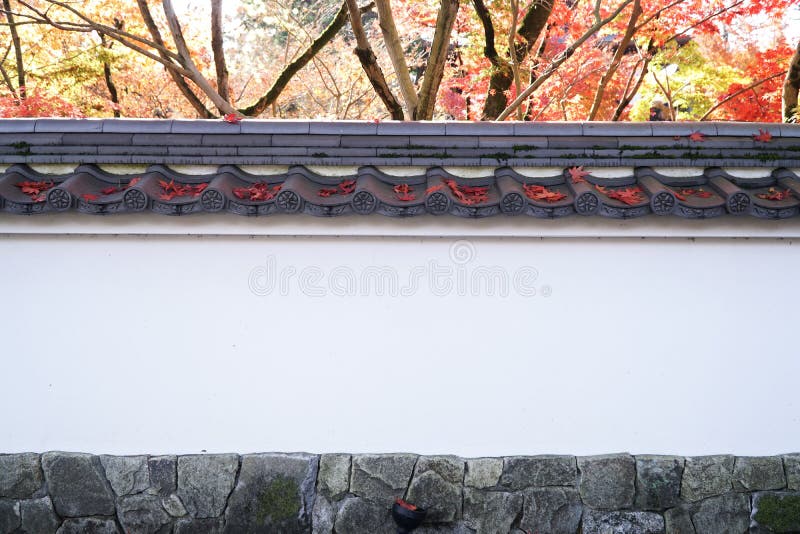Japan Wall with Old Tiled Roof with Maple Tree , Red Maple Leaf ...