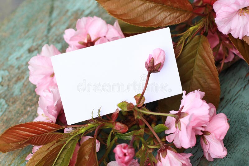 Japanes Tree Blossom with a Blank Note Stock Image - Image of nature ...
