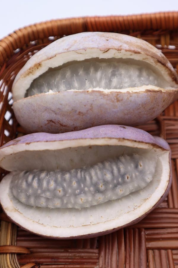 Akebi Fruit Stock Photos - Free & Royalty-Free Stock Photos from Dreamstime