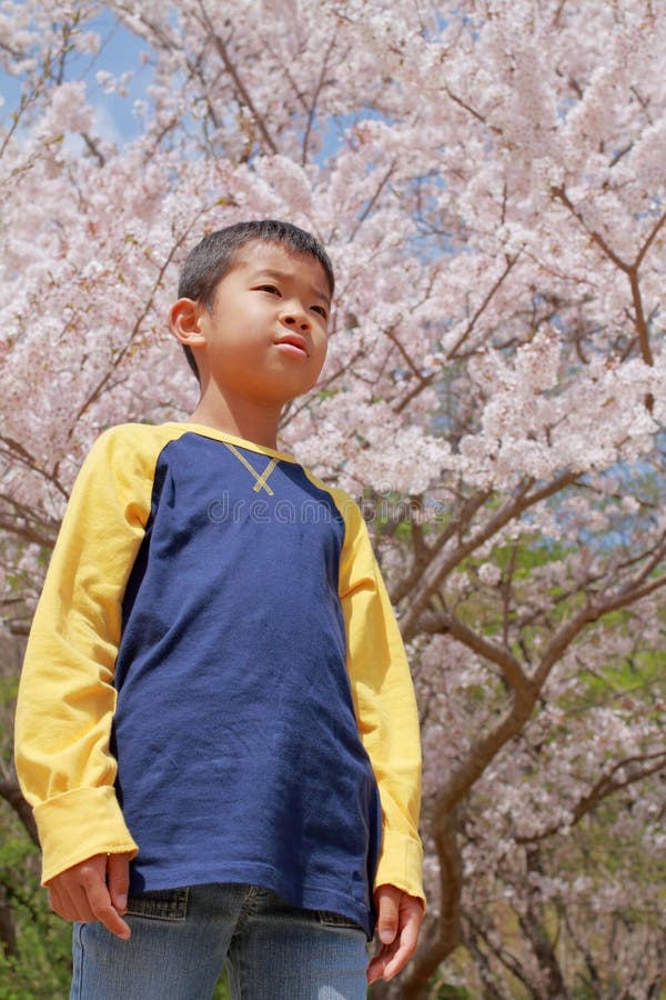 Japanese Boy and Cherry Blossoms Stock Image - Image of grass, human ...