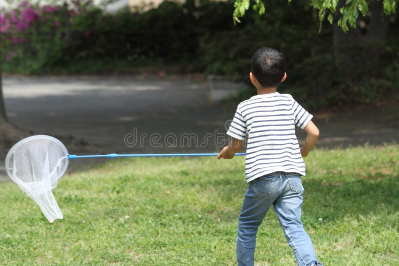 Japanese Boy Collecting Insect Stock Image - Image of blue, cute: 83899681