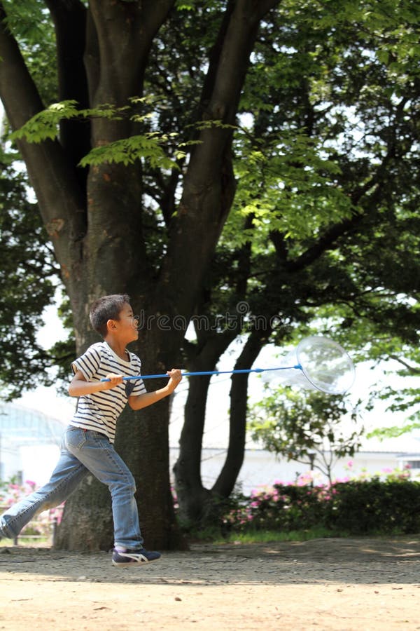 Japanese Boy Collecting Insect Stock Image - Image of catching ...