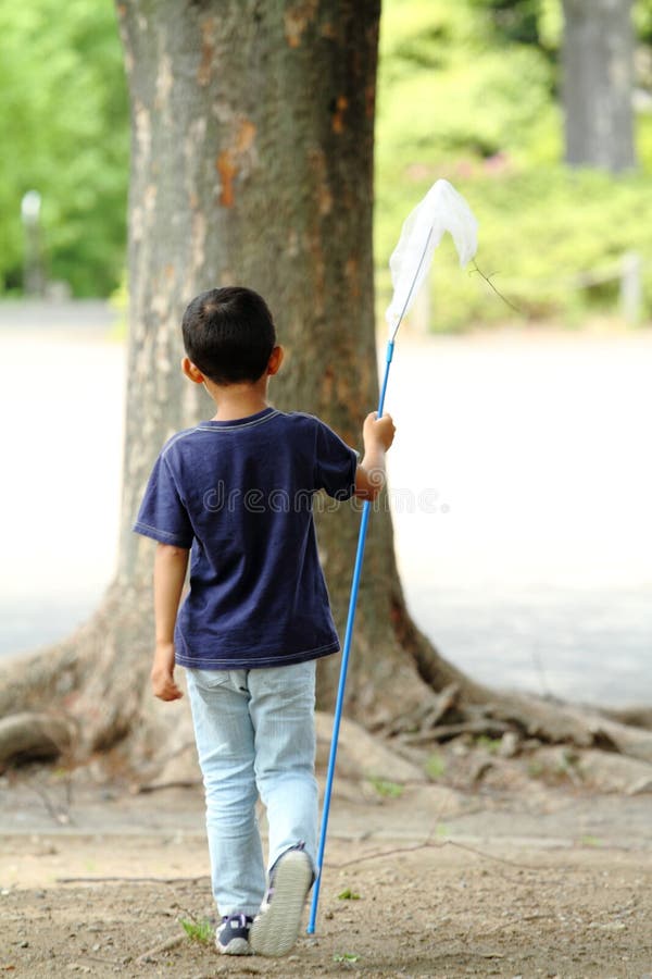 Japanese Boy Collecting Insect Stock Photo - Image of green, catching ...