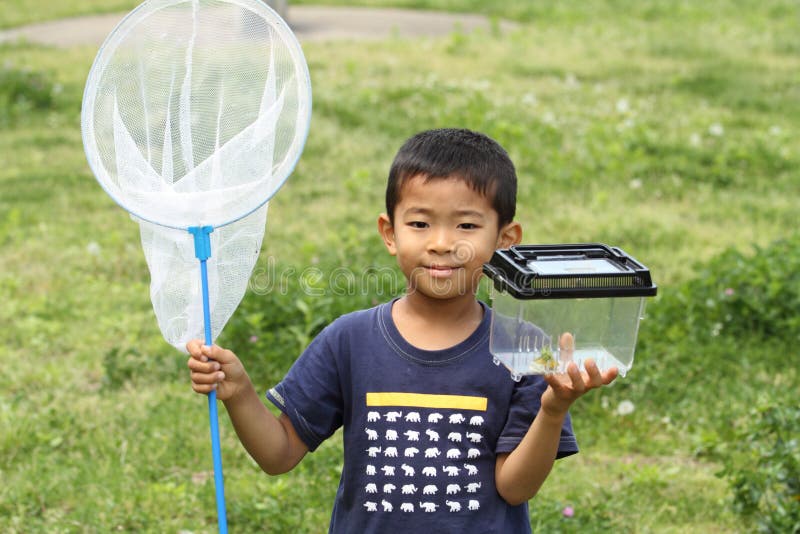 Japanese Boy Collecting Insect Stock Photo - Image of sunny, pupil ...