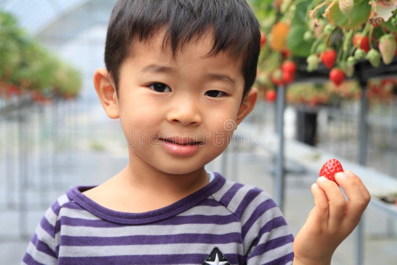 Japanese Boy Eating Strawberry Stock Photos - Free & Royalty-Free Stock ...