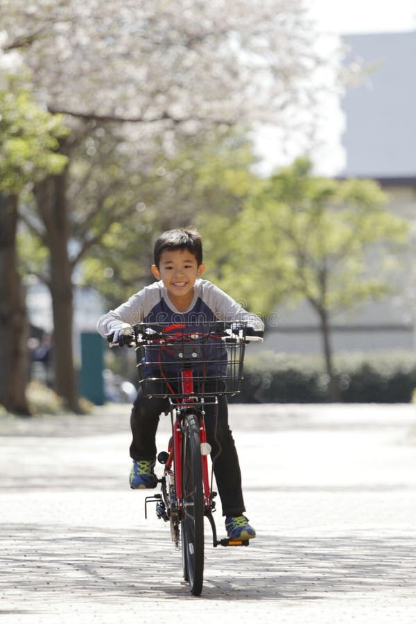 Japanese Boy Riding On The Bicycle Under Cherry Blossoms Stock Image ...