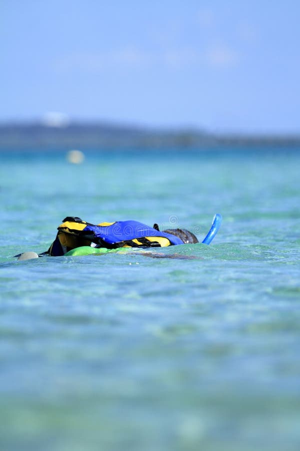 Japanese Boy Swimming with Snorkel Stock Photo - Image of emerald ...