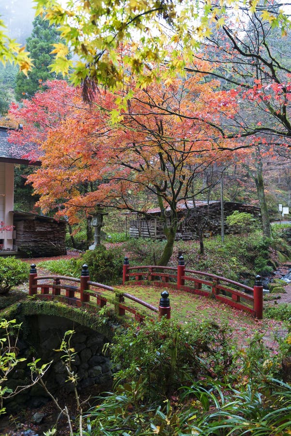 Japanese Bridge in the Autumn Forest Stock Image - Image of autumn ...
