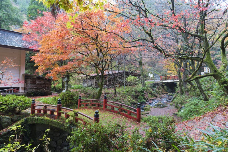 Japanese Bridge in the Autumn Forest Stock Image - Image of green ...