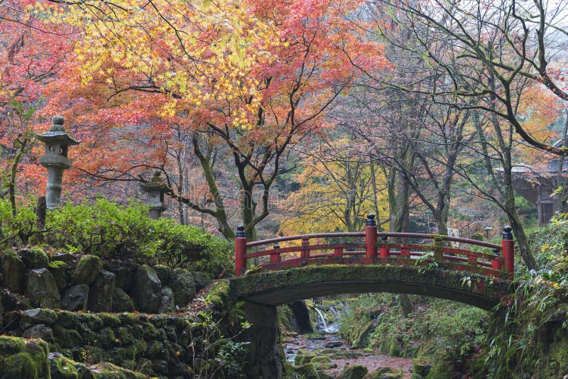Japanese Bridge in the Autumn Forest Stock Photo - Image of asian ...