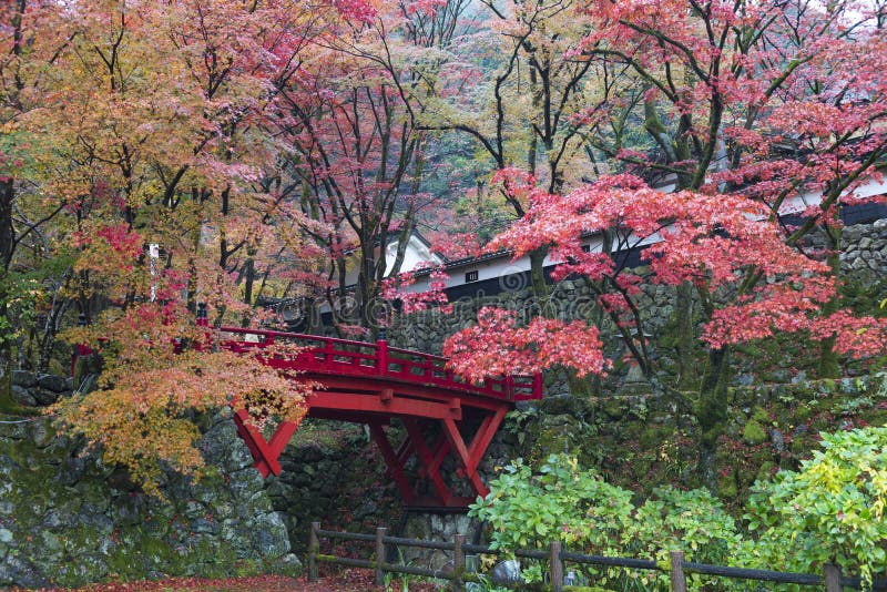 Japanese Bridge in the Autumn Forest Stock Photo - Image of maple, card ...