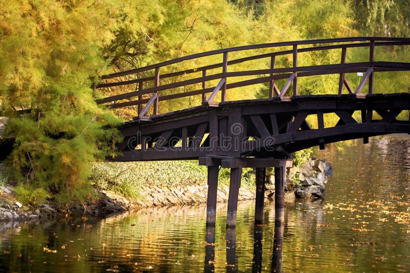 Japanese bridge over lake stock photo. Image of plant - 64432128