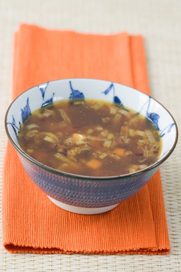 Japanese Broth stock image. Image of shot, dish, japanese - 16173175
