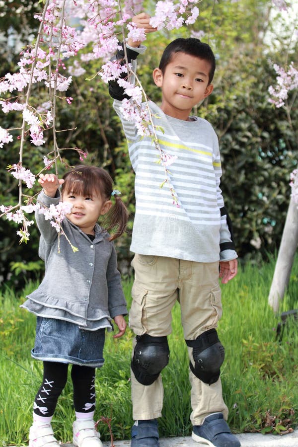 Japanese Brother And Sister And Cherry Blossoms Stock Image Image Of Pink Clear 92323837