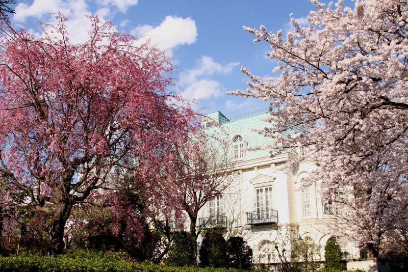 Muroran Institute of Technology Stock Image - Image of japan, campus ...