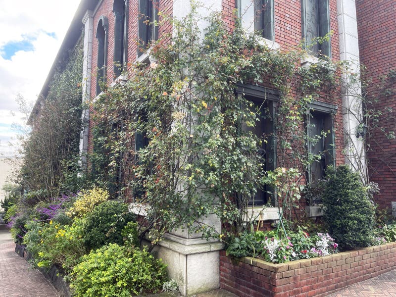 Japanese City with Europian Building Stock Photo - Image of design ...