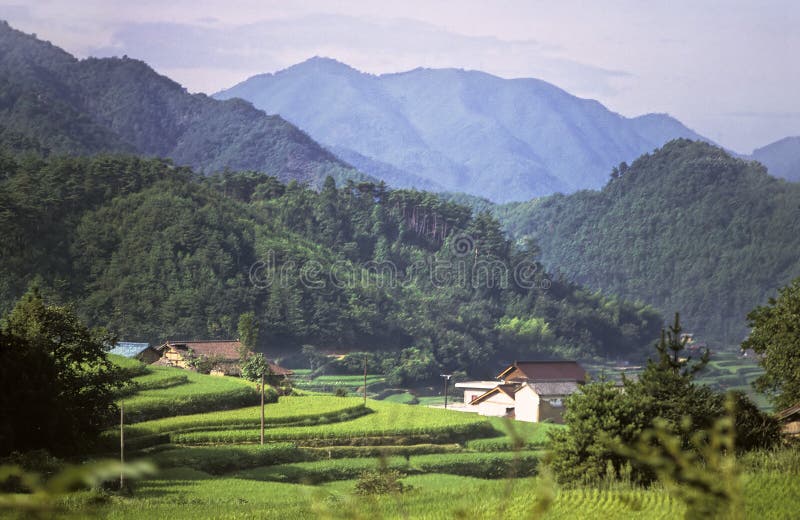 Japanese country stock image. Image of cultivation, mountain - 9302155