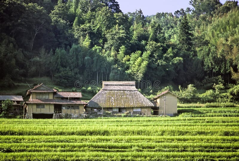 Japanese country stock image. Image of nature, farm, countryside - 9302181