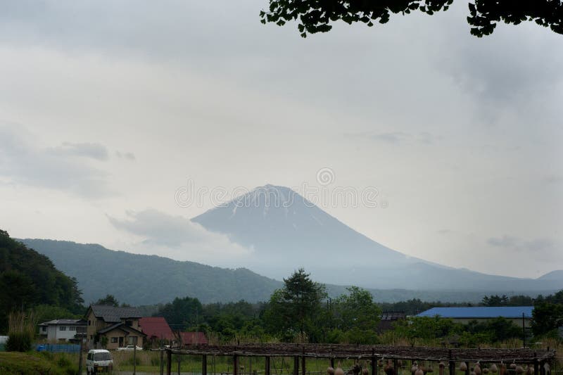 Japanese Countryside stock image. Image of plant, mist - 257867203