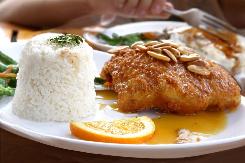 Japanese Cuisine - Fried Fish with Rice Stock Photo - Image of japan ...