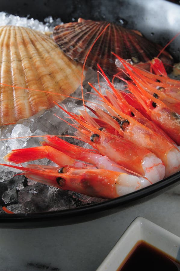 Raw Shrimp Sashimi Amaebi Shell Platter Icecube Stock Photo - Image of ...
