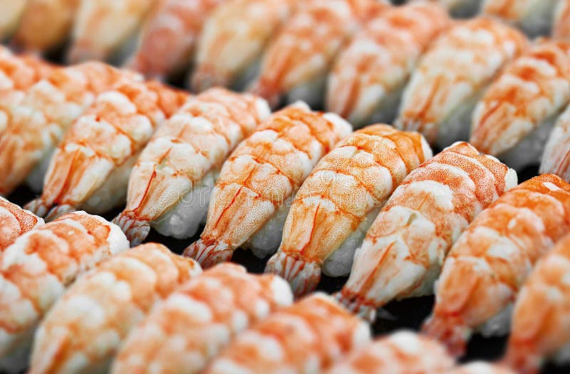Japanese Cuisine - Shrimp Sushi Stock Image - Image of oriental ...